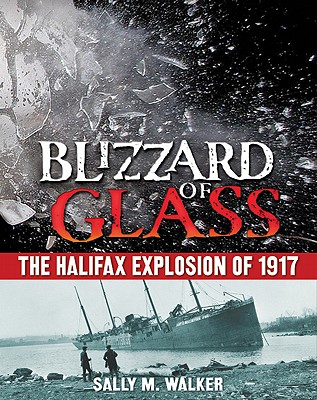 Beth Fish Reads: Review: Blizzard of Glass by Sally M. Walker