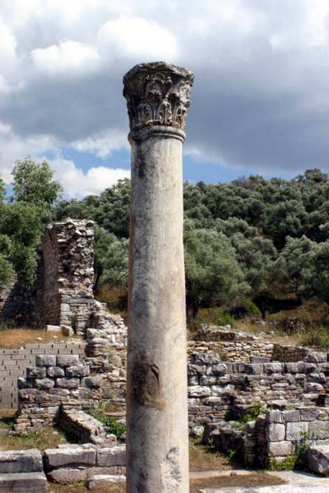 Cittaslow Botanik Park: AKANTUS ( Ayı pençesi )