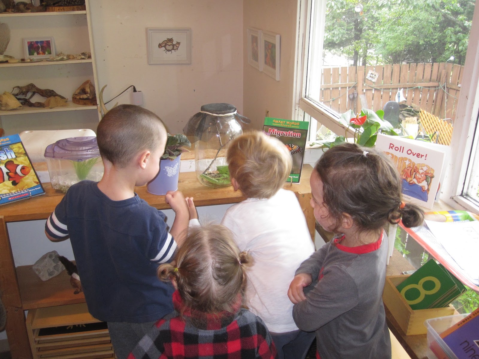 Tree House Preschool Daycare