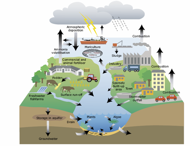 water pollution syep : CAUSES