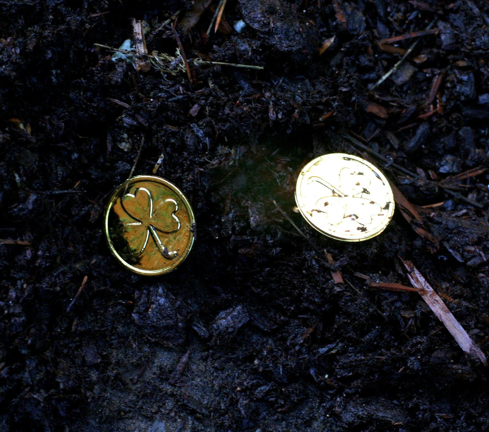St. Patrick's Day Treasure Dig