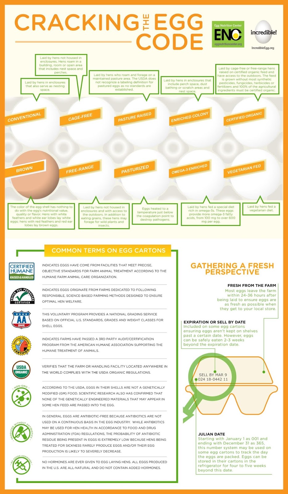 Cookistry: Cracking the Code on Eggs