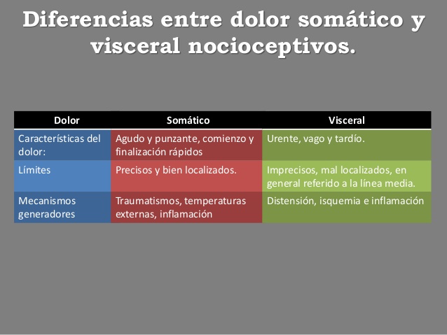 utesadultadorvil.squirurgica