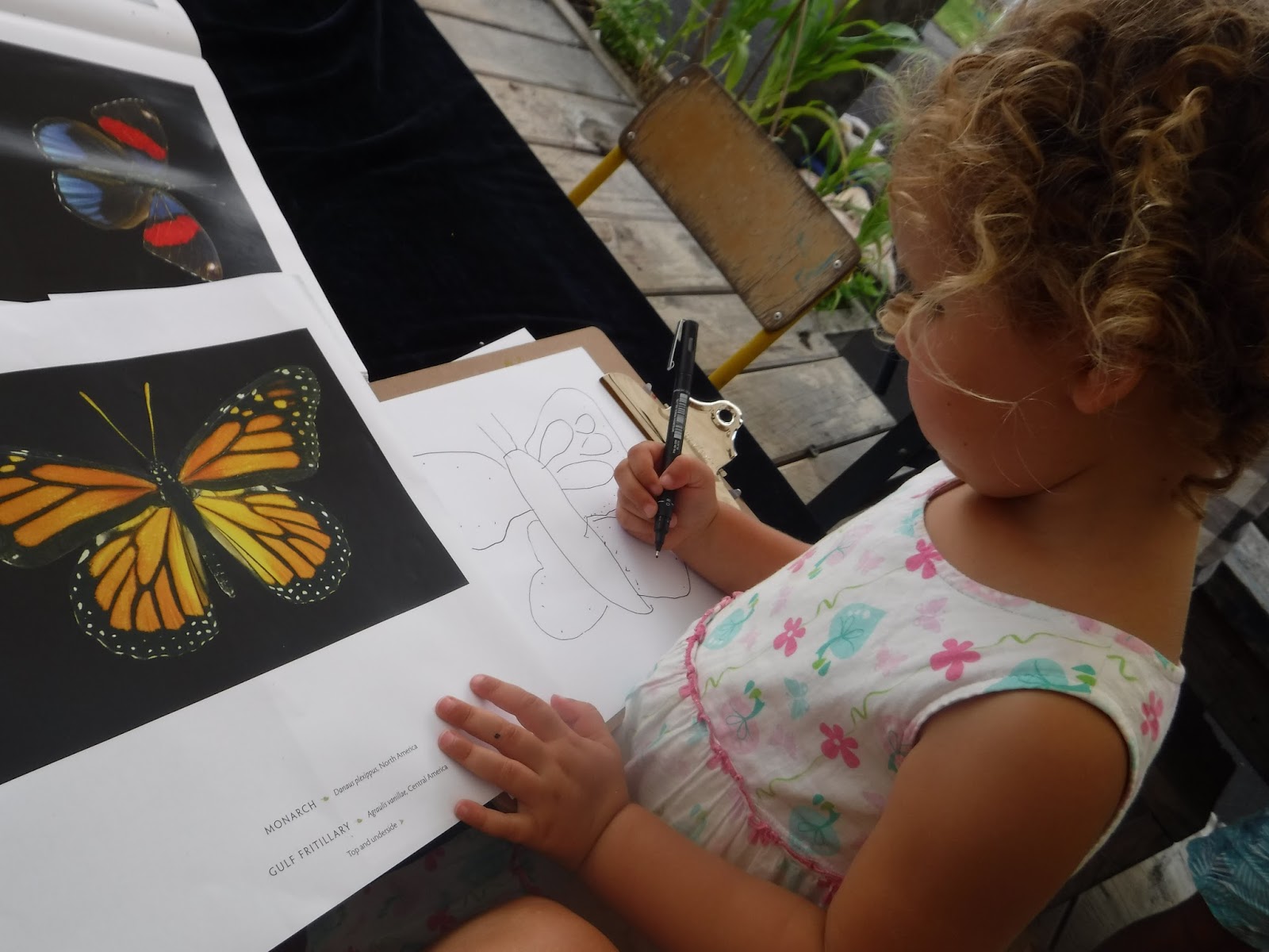 Mairtown Kindergarten: Observational drawing - a kindergarten perspective