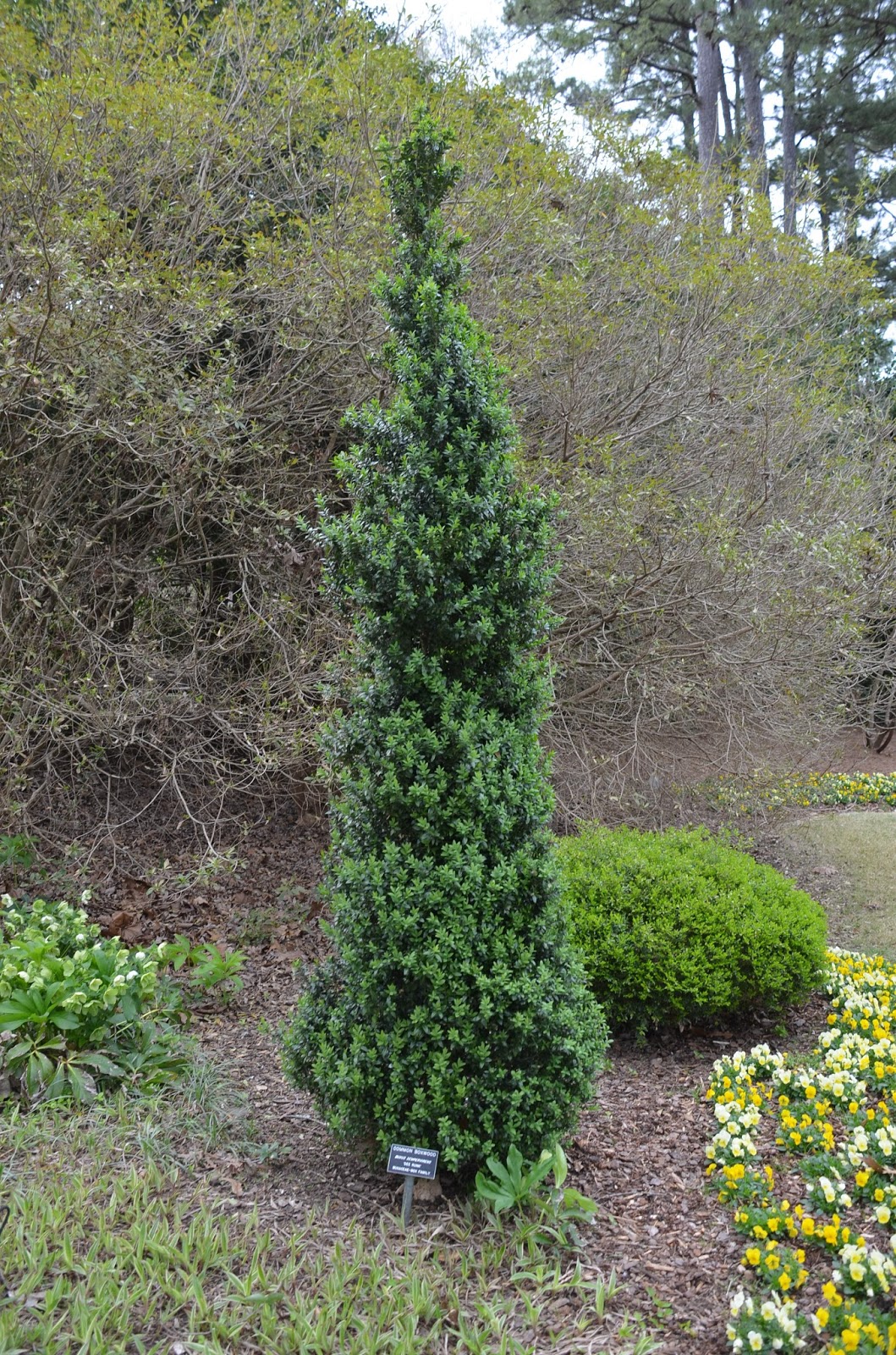 What grows there?: 2018