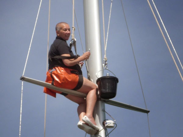 Smutje Rosa auf Safari ...: Leinen los: Nike Steiger - eine junge ...