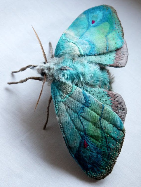 Sevasblog : things I like: Mr Finch