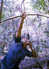 (36 Etnias de Bolivia) Etnia Los Sirionó - Las 36 Etnias de Bolivia