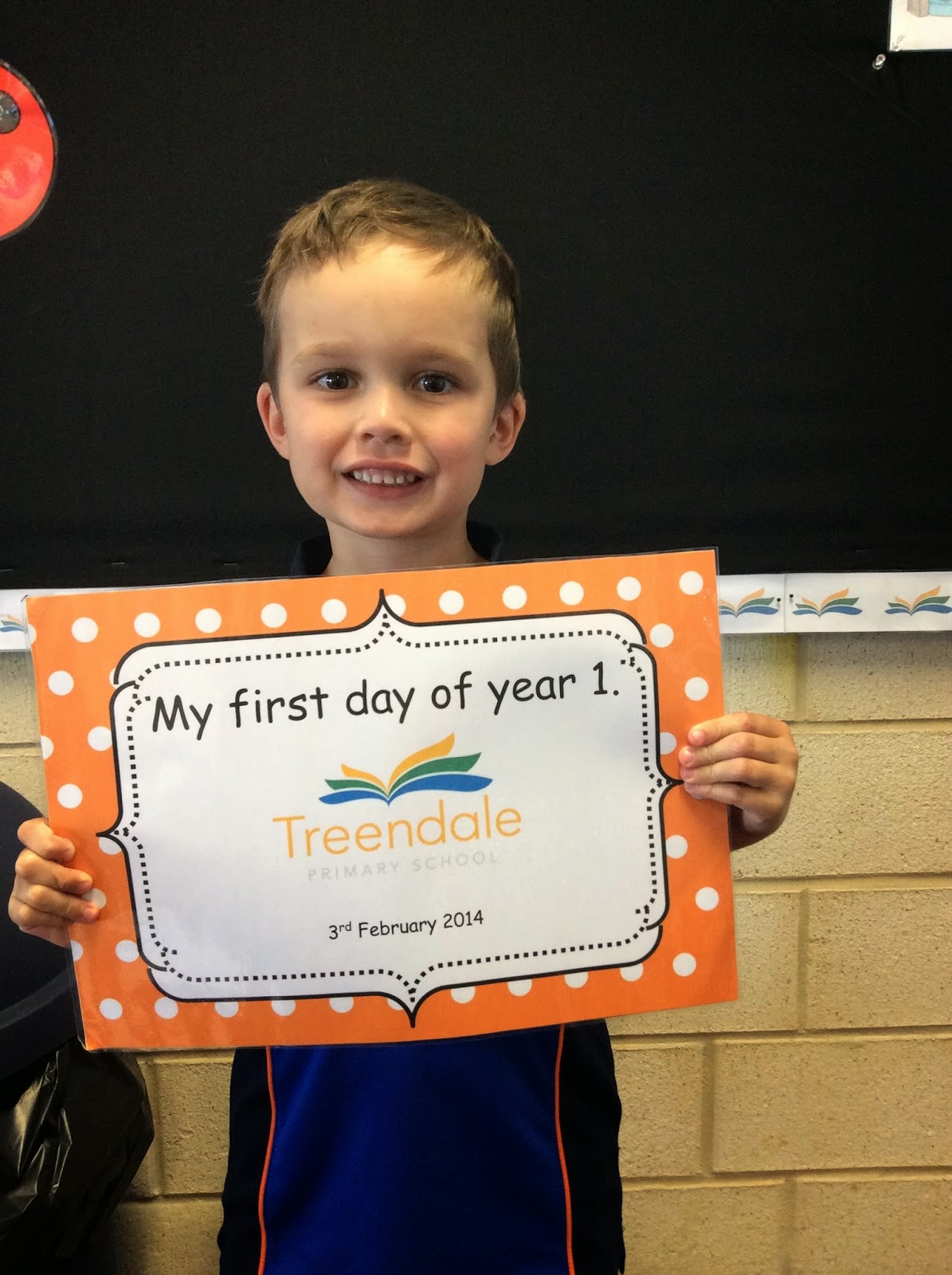 Treendale Primary School Room 8: May 2014