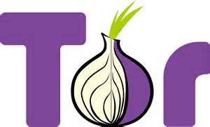 Anything That Matters.: Everything About Tor: What is Tor? How Tor Works