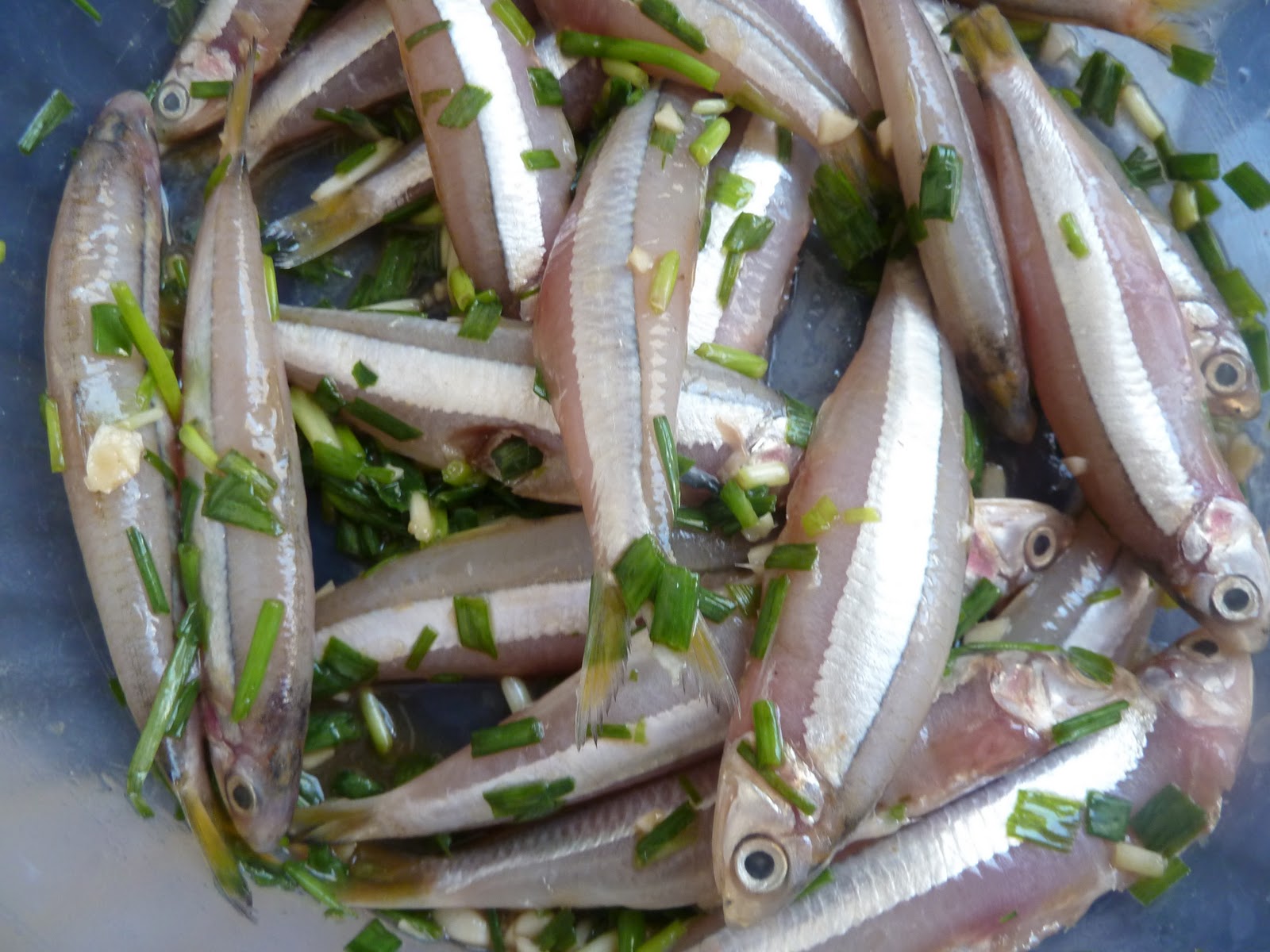 Cozinha Tradicional Caiçara: Aquela Manjubinha Frita Que Alegra Ainda ...