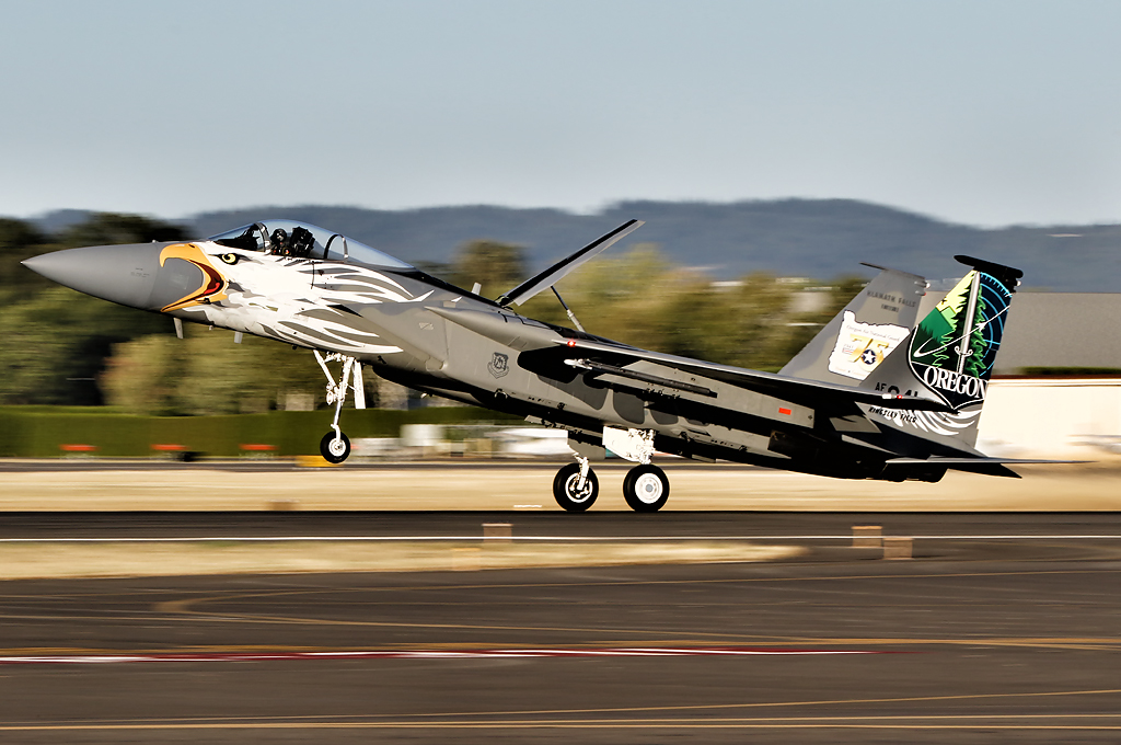 Aero Pacific Flightlines: United States Air Force McDonnell Douglas F ...