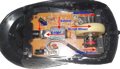 Computer Science and Engineering: Construction of Optical Mouse