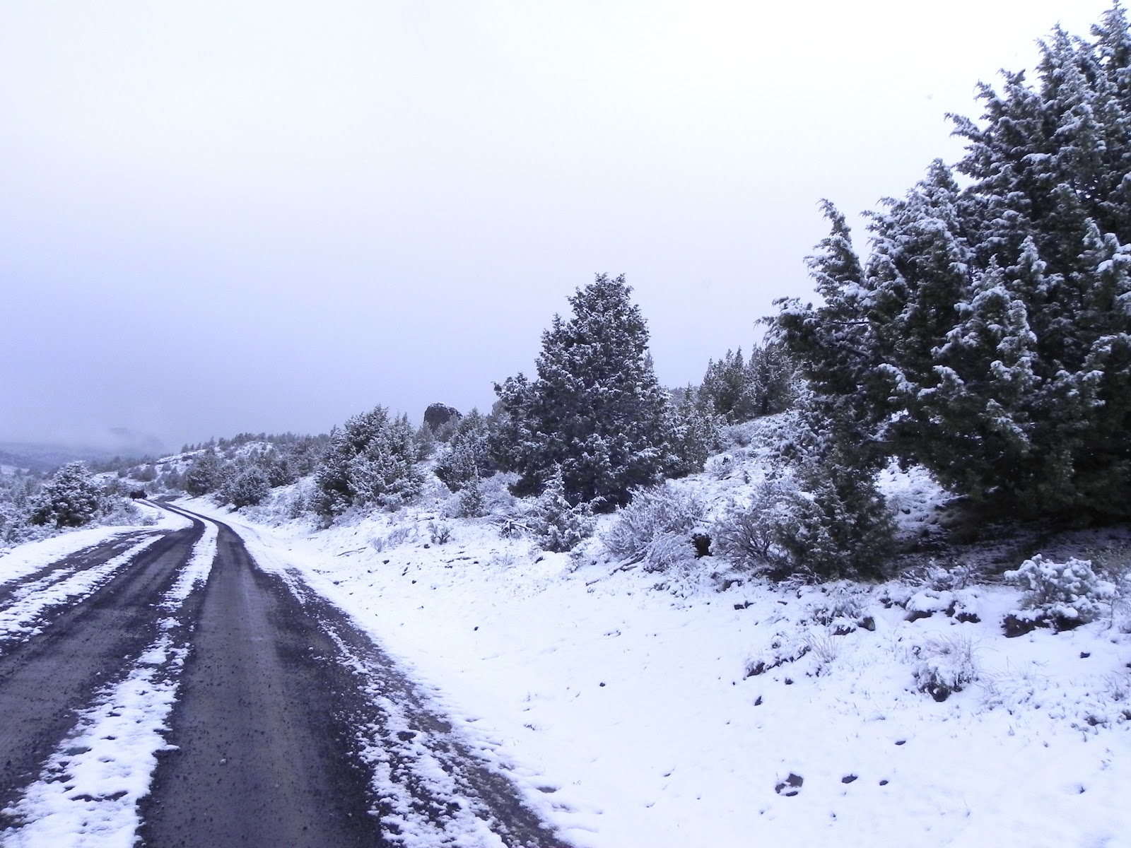 Northwest and Southwest Rockhounding: NFMS Rockhound Rendezvous 2011 ...