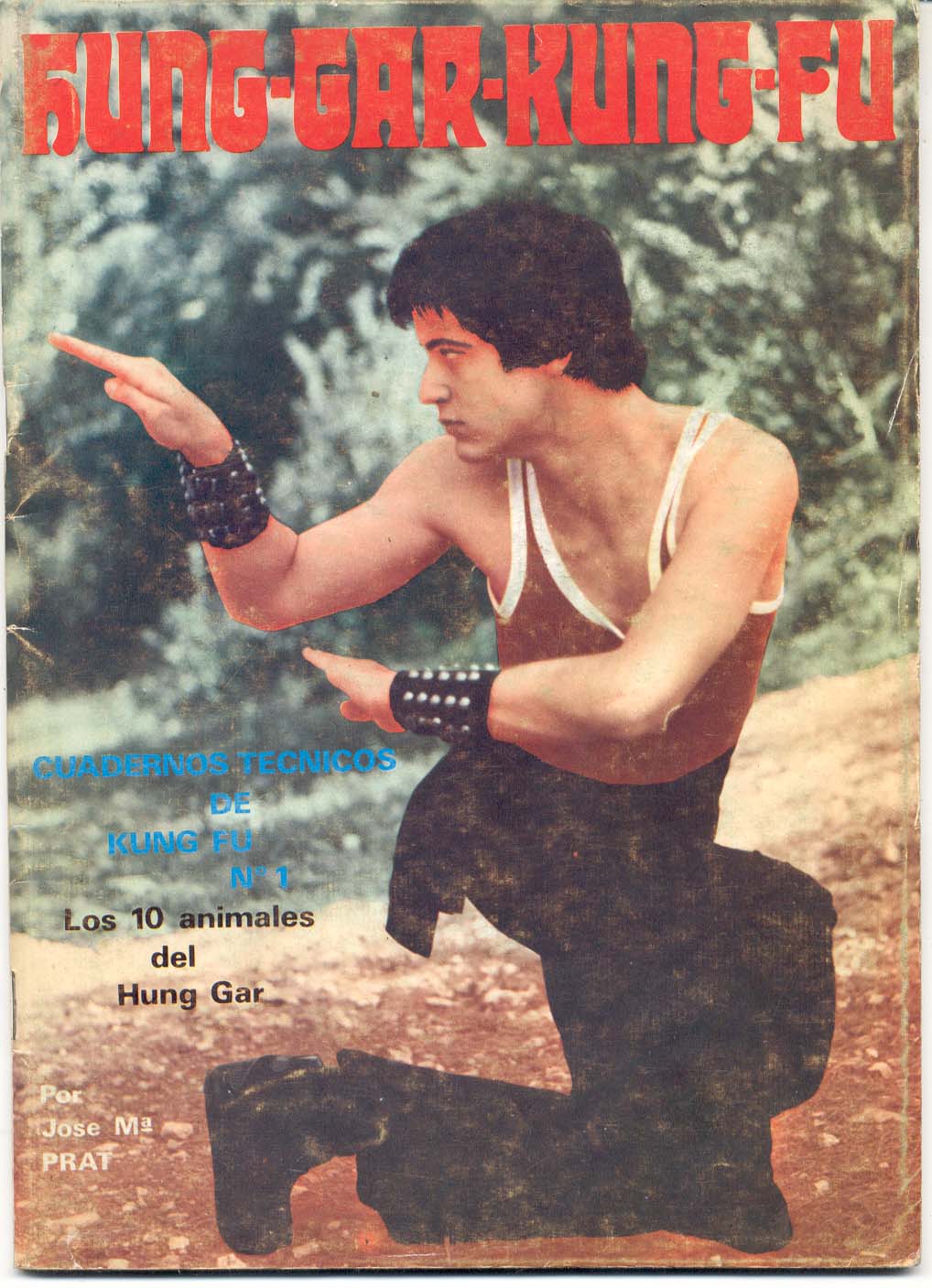 HUNG GAR KUNG FU REGION DE MURCIA : LIBRO Y REVISTAS DE HUNG GAR KUNG ...