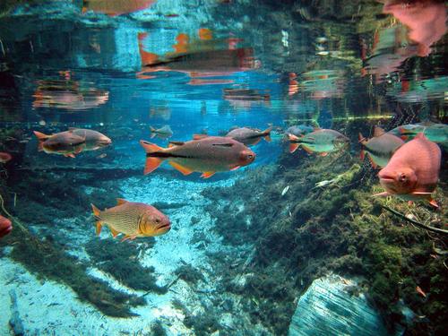 Cantinho da Cher...: Lagoa Azul - Nobres - Mato Grosso - Brasil