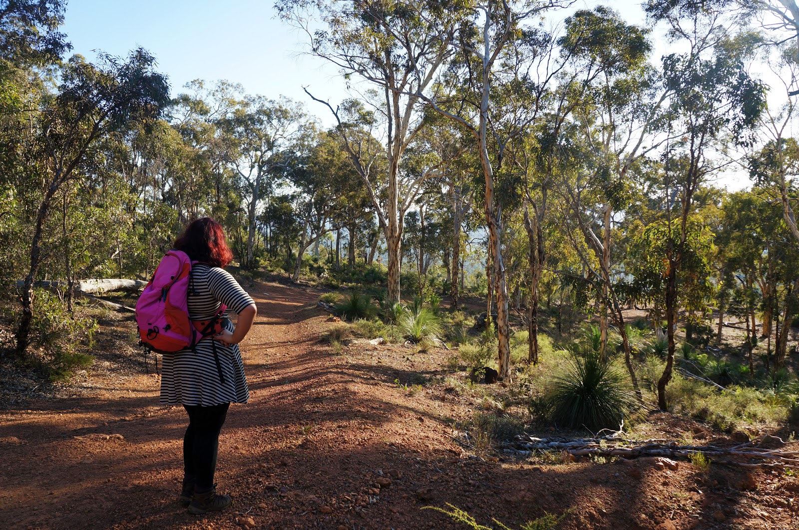 Lion's Lookout (Korung National Park) ~ The Long Way's Better