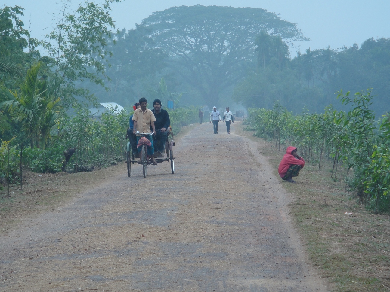 Birishiri, Netrokona, Bangladesh