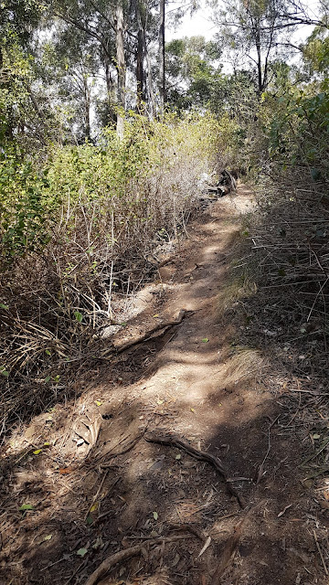 Steventure: Bong Bong Pass