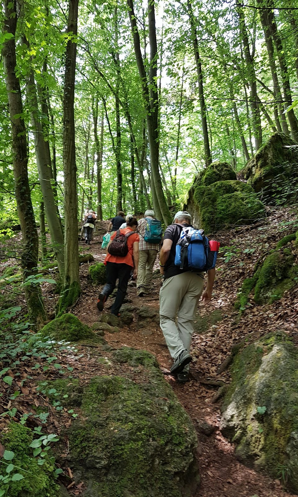 Wandern durch Franken: Fotos - Wanderung Pottenstein/Elbersberg - 14 ...