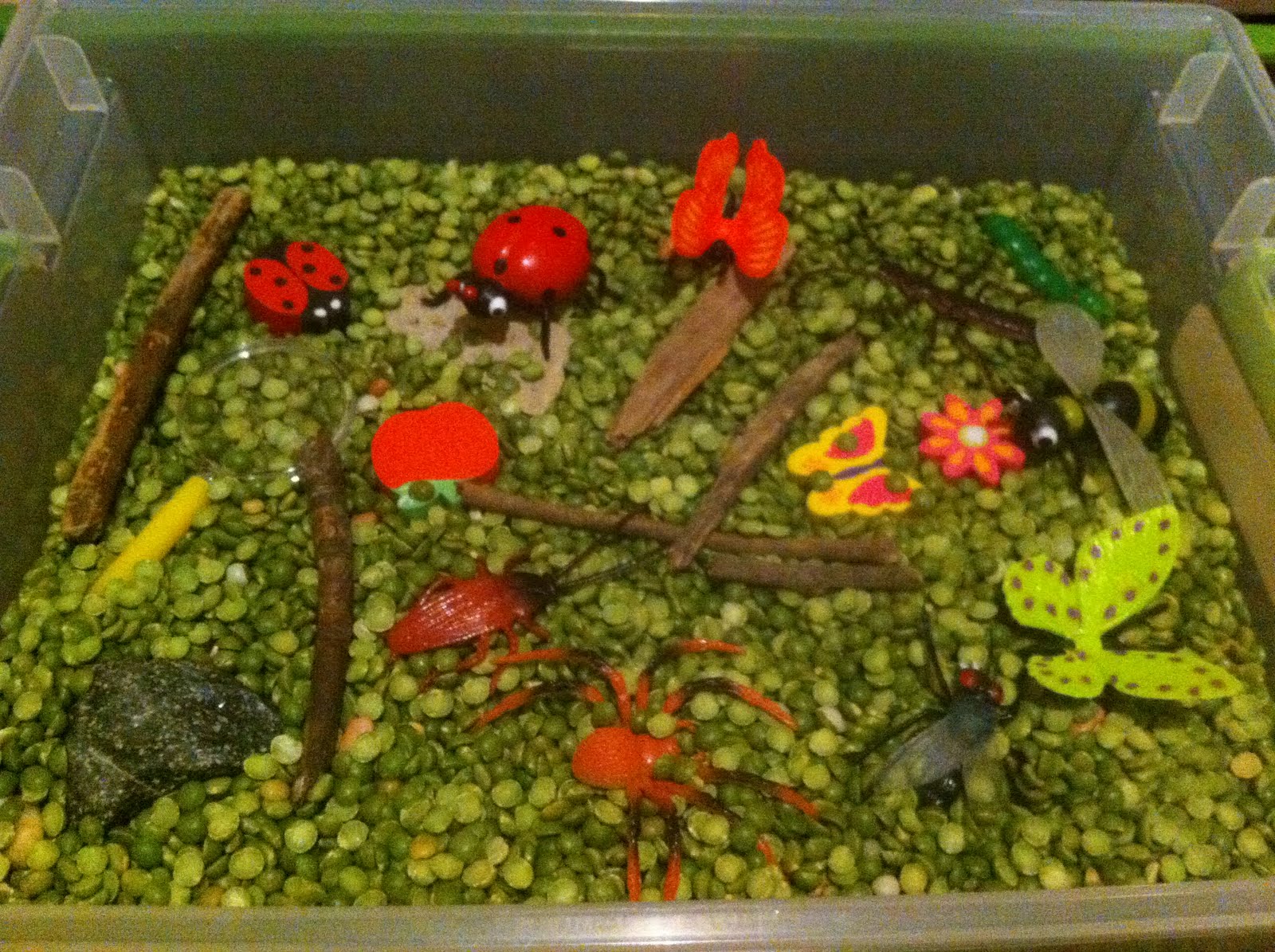 dibble dabble...: Sensory Bins - Sports & Bugs