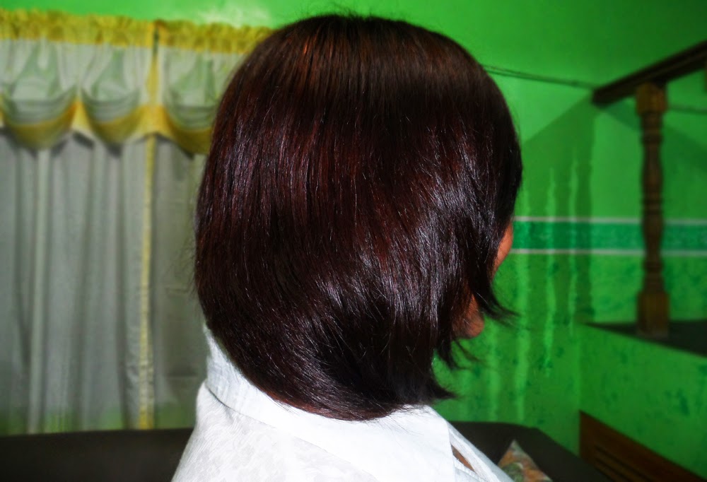 Gelleesh: The Story of My New Hair Color (Cynos Dark Golden Copper Blonde)