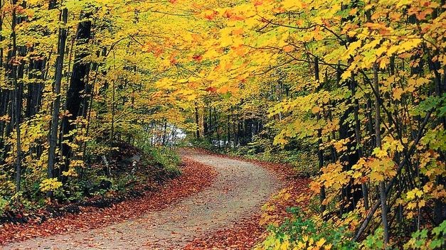 Astroalquimia tercer milenio: EL ESTÍO