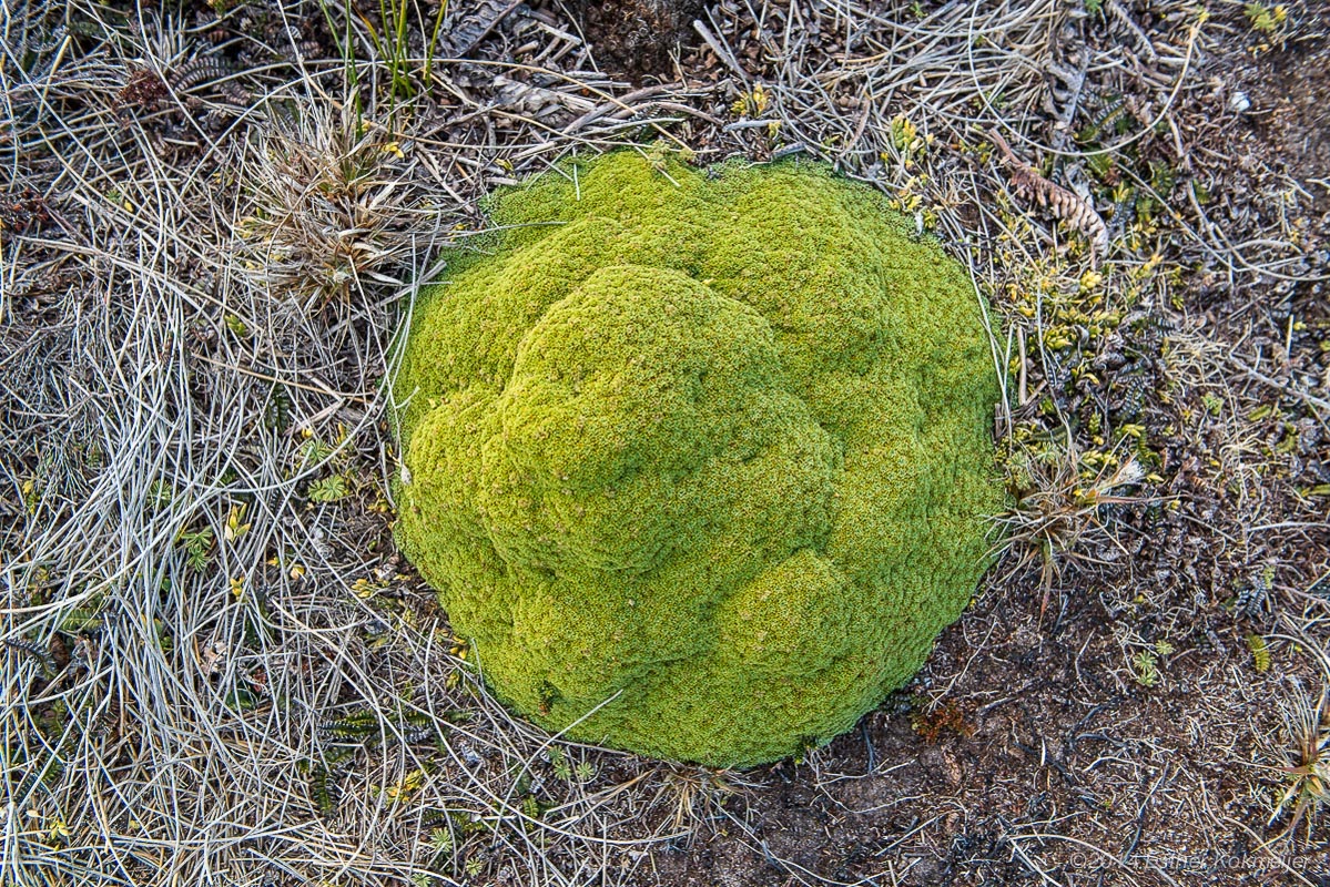 MV FRAM EXPEDITION BLOG: The Capital!