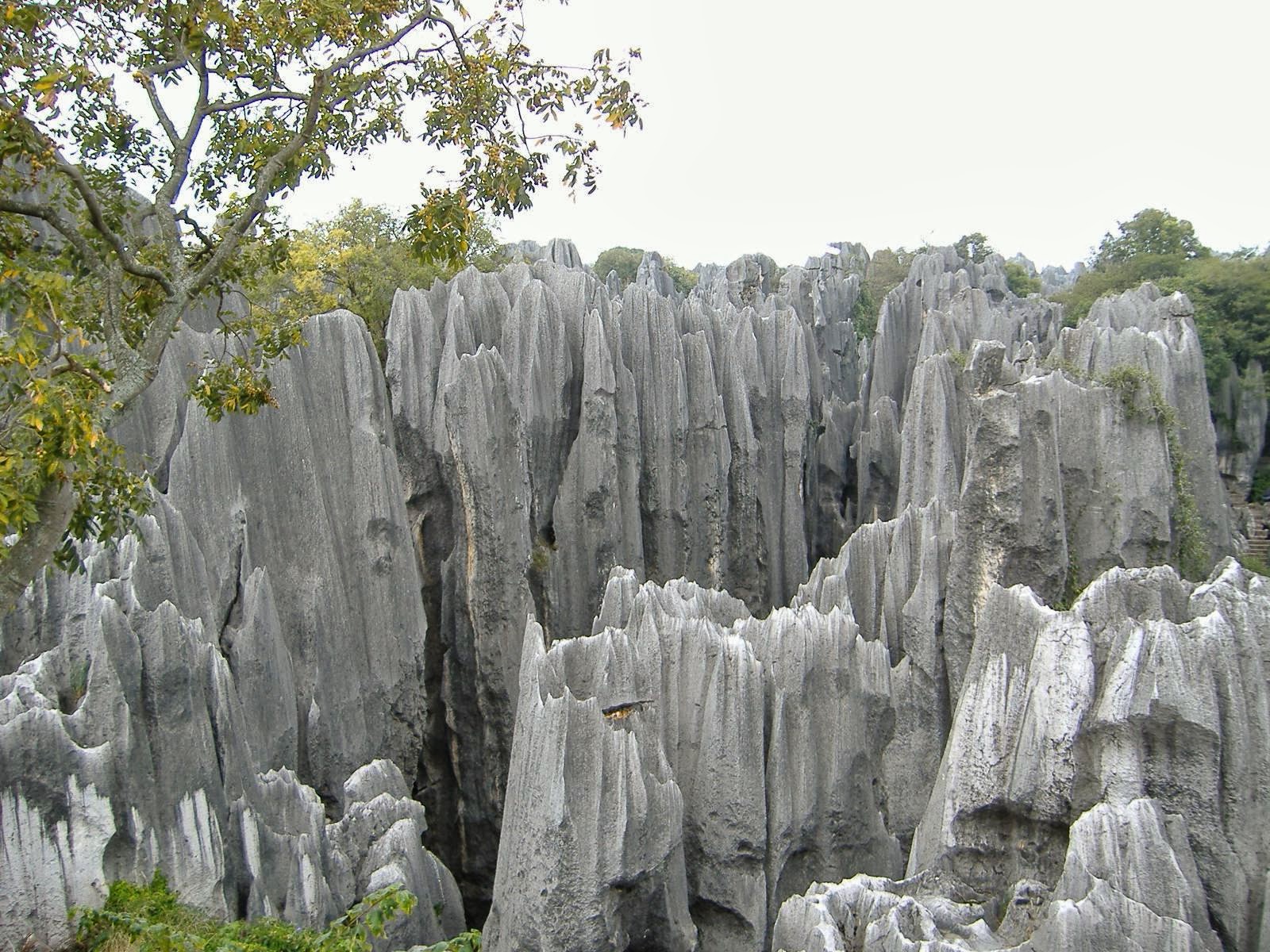 Gift of Nature: Amazing Natural Beauty The Shilin Stone Forest
