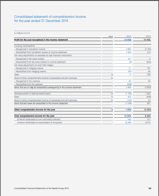 Nestles Financial Statement Analysis Project: Appendix