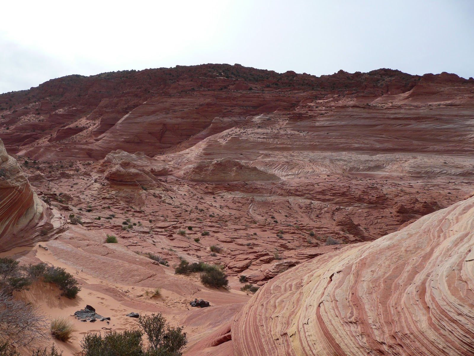 Life at 55 mph: The Wave in Coyote Buttes, Marble Canyon on the Utah ...
