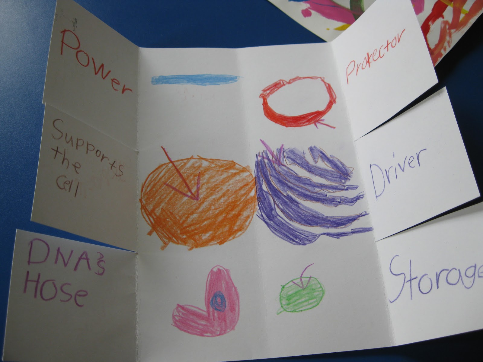 Solagratiamom: Learning about Animal Cells