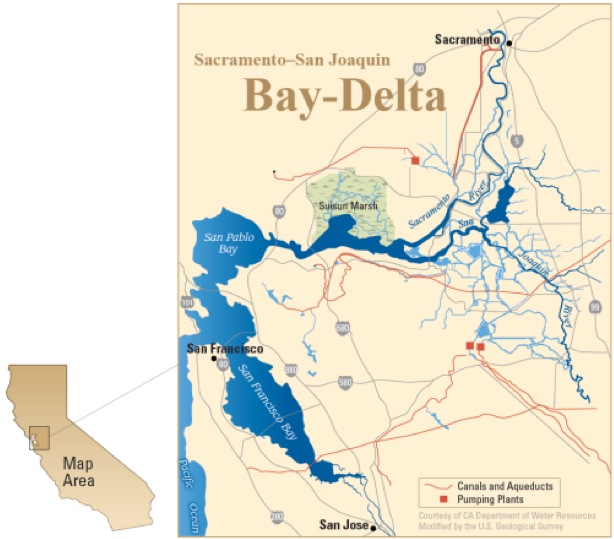 The California Delta: The California Bay Delta