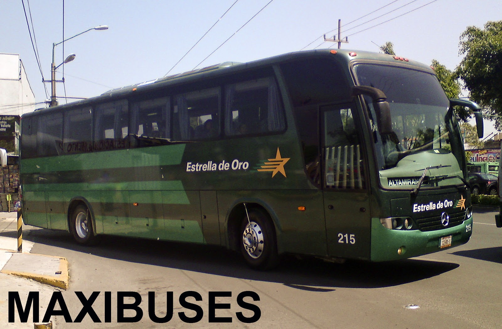 MAXIBUSES: ESTRELLA DE ORO