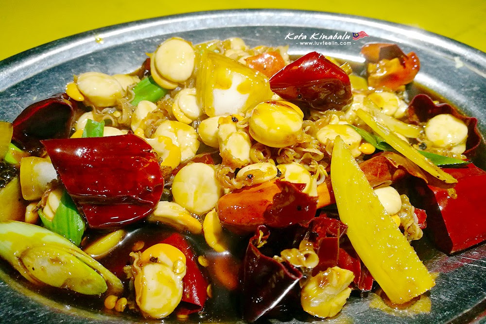 【Sabah 沙巴】Sapi Island 沙比岛寻找小丑鱼 - 乐飞翎 ♥ LUVFEELIN