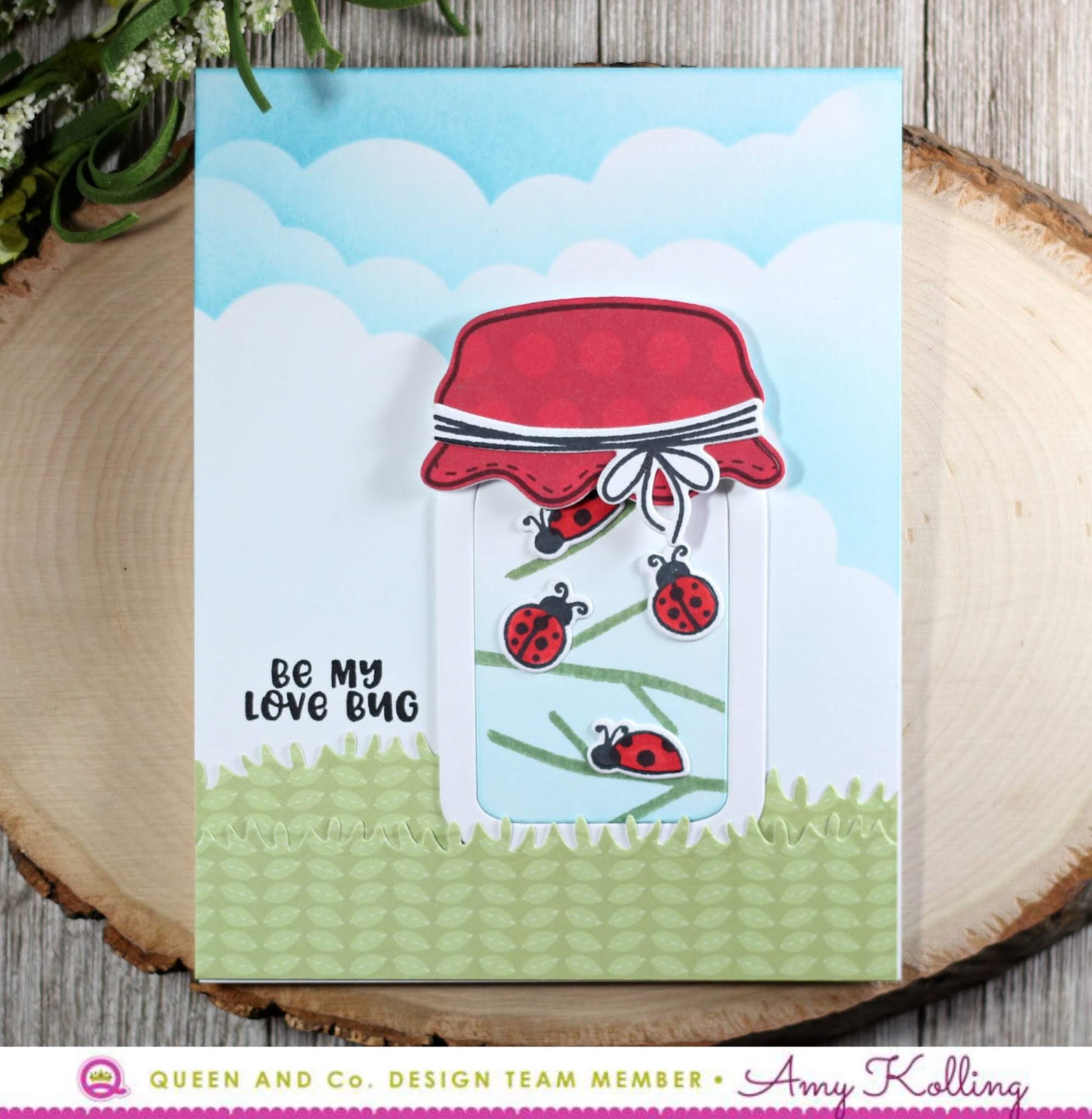For the Love of Bugs- Bug Jar Kit – Queen & Co