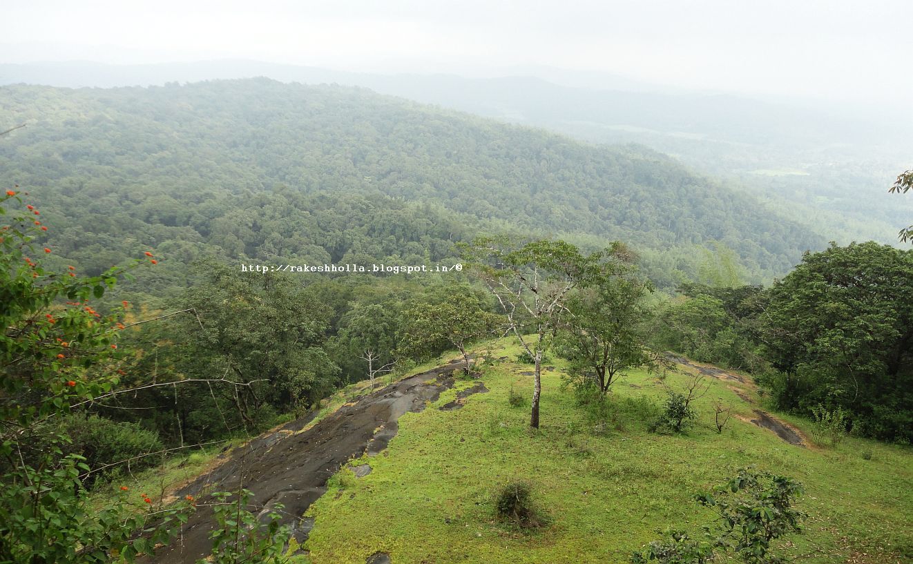 The Voice of Greenery - Trekking and Travelling in Western Ghats: Kote ...