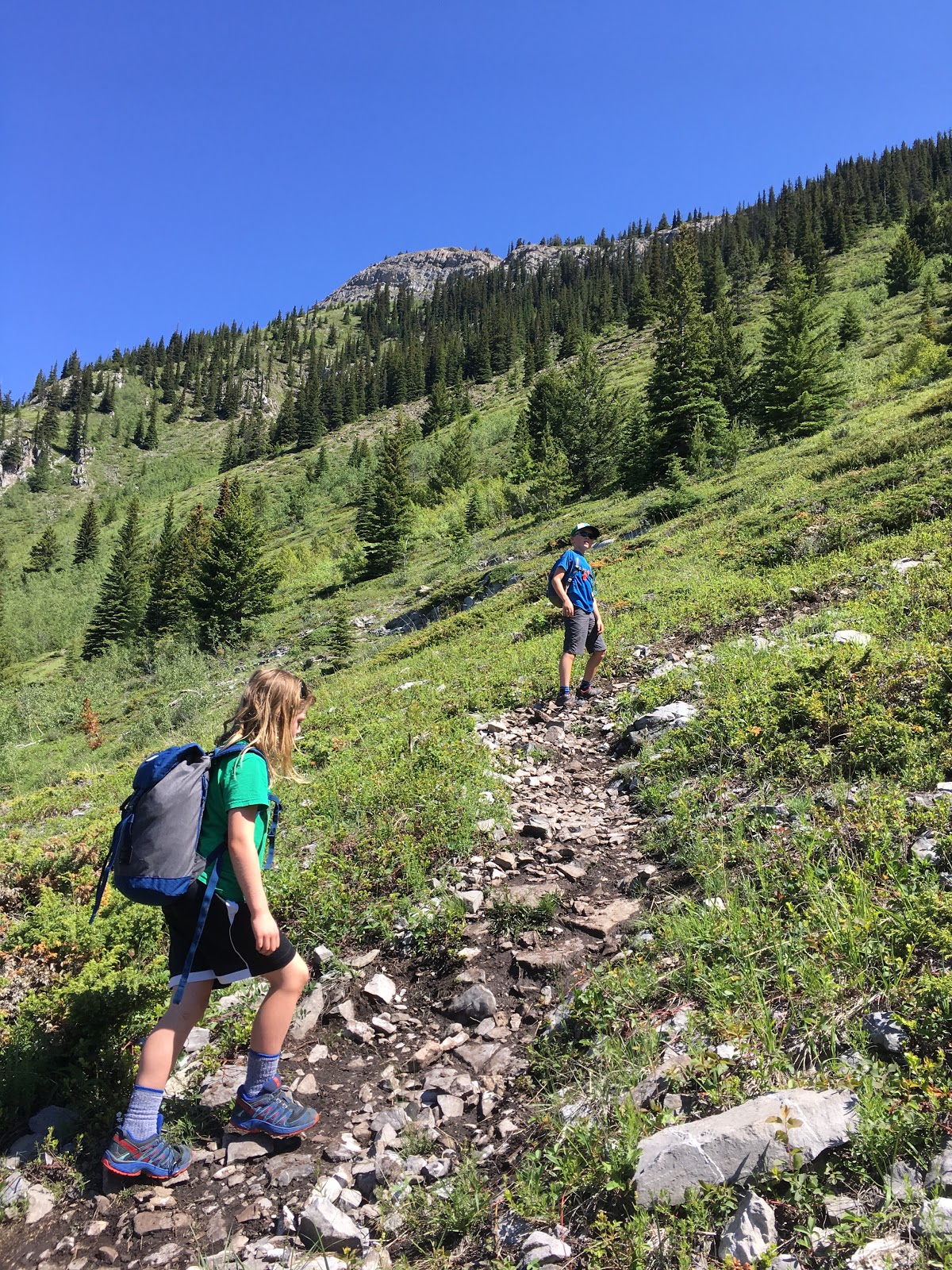 Family Adventures in the Canadian Rockies: King Creek Ridge - Family ...