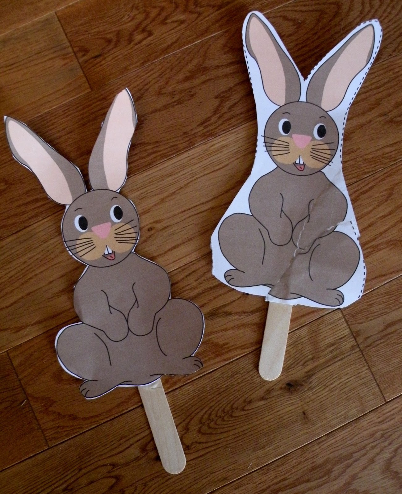 The Fantastic Five: Little Rabbit Learning