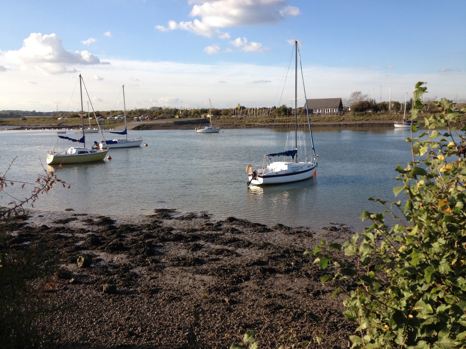 Bill's Log: More Photos of Hullbridge Riverside