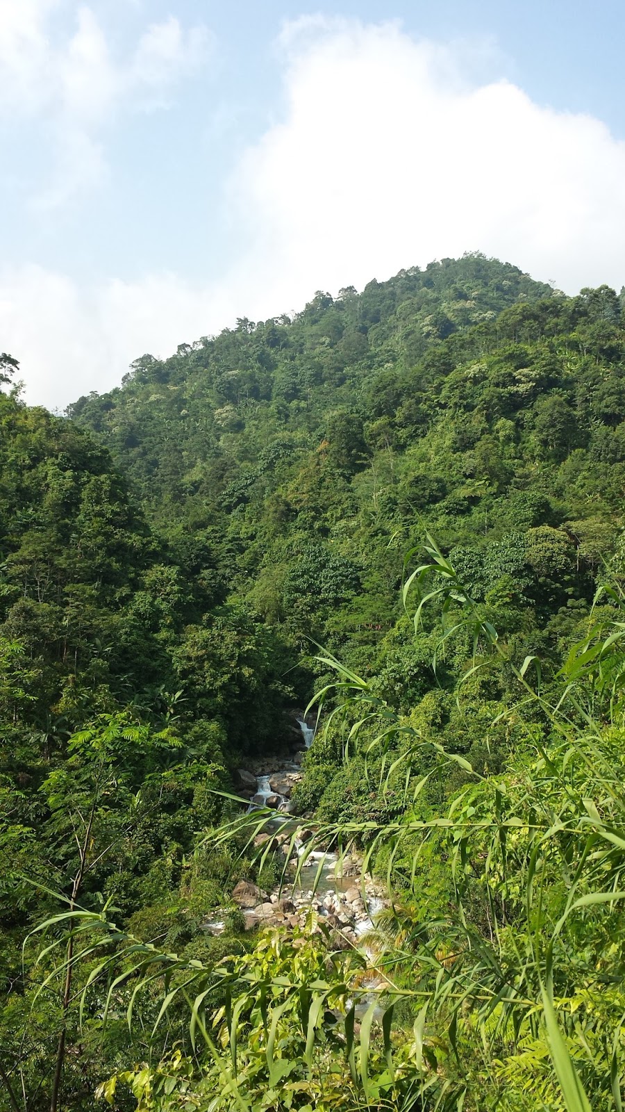 Wisata Indonesia Bagus: Curug Leuwi Lieut, Curug Leuwi Hejo, Curug ...