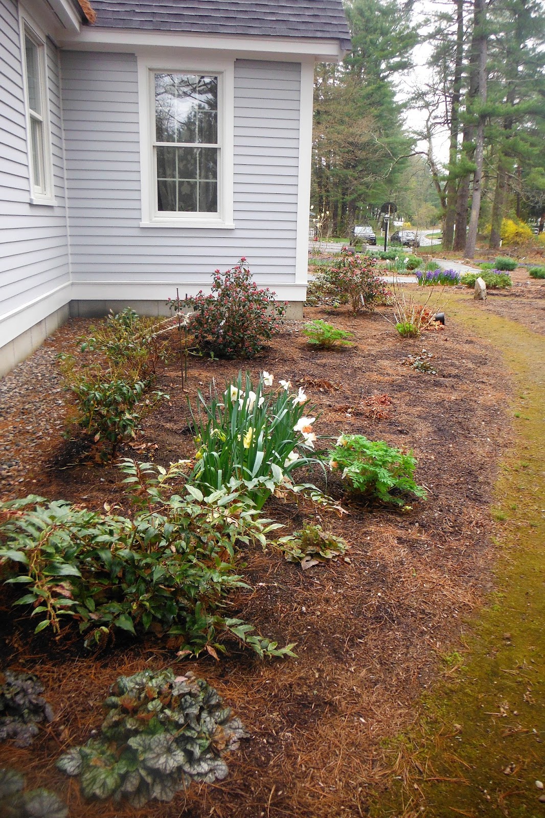 The Principal Undergardener: Sleep, Creep, Leap