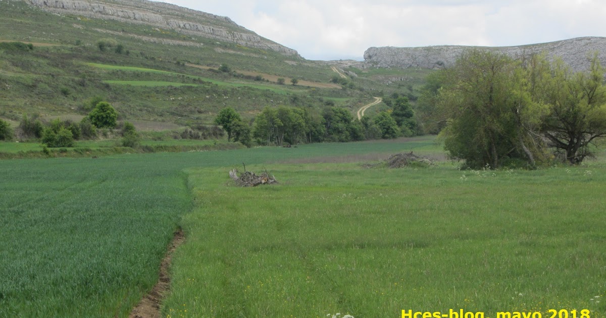Huérmeces (Burgos): El río Brullés: de Fuencivil a Villasandino
