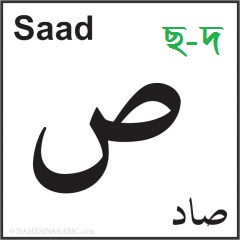 Easy Arabic Alphabet Letters learning for the Quran reading