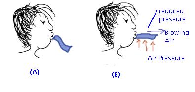 CBSE Papers, Questions, Answers, MCQ ...: CBSE Class 7 - Science - CH8 ...