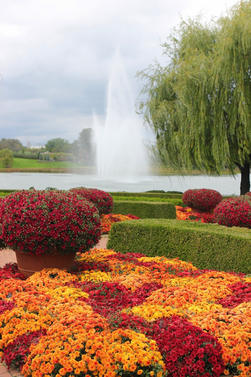 Romancing the Home: Fall Color at the Chicago Botanic Gardens