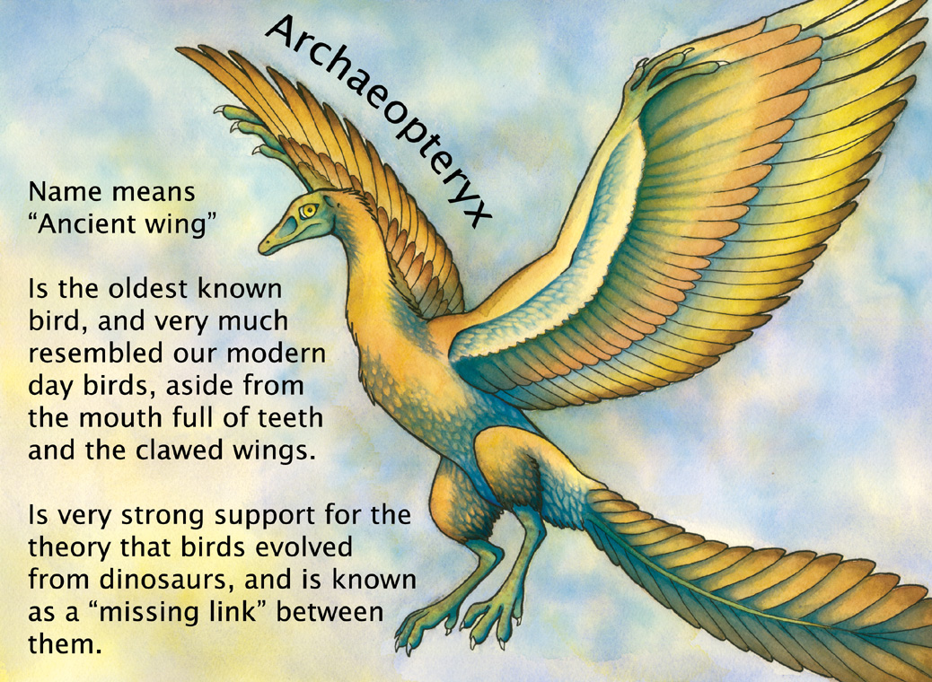 Sapienciario de culturemas: Misterios de nuestro mundo y del universo ...