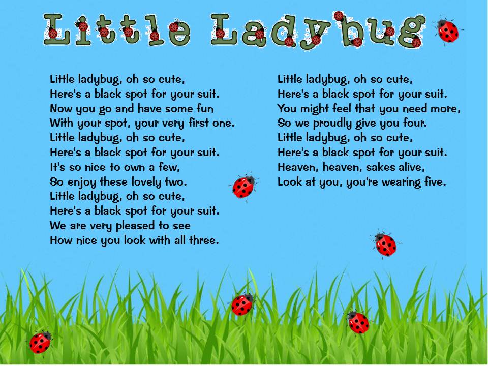 A Teacher's Touch: Little Ladybug Song Freebie