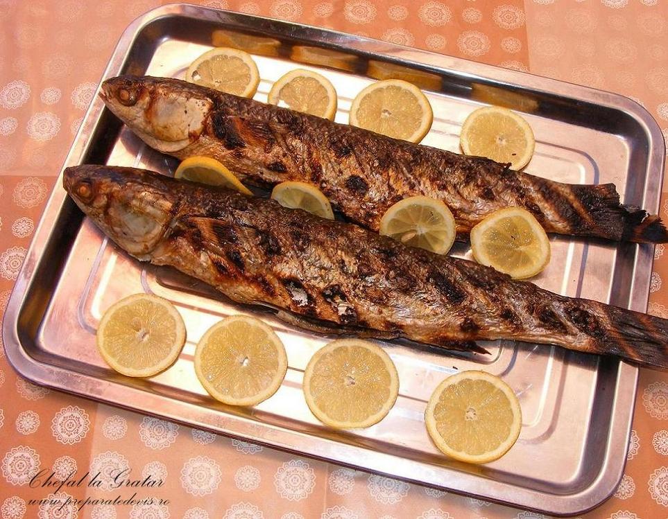 Chefal la gratar | Preparatedevis.ro