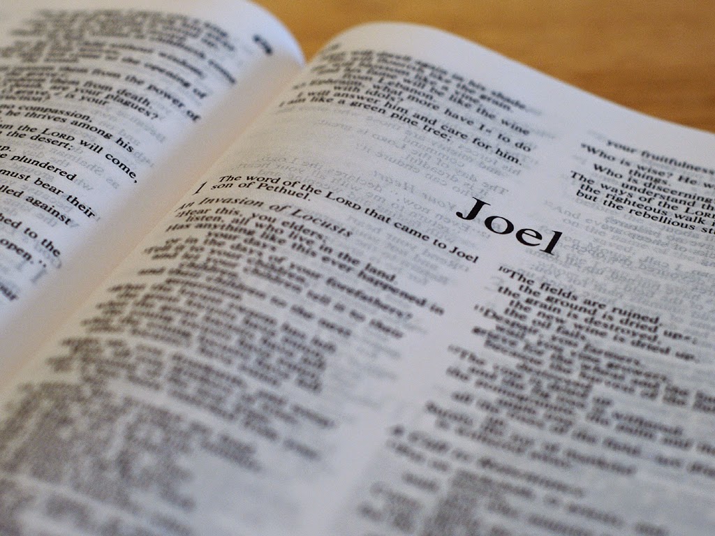 Daily Word of God ~ Joel 1 | Royal Girlz Ministry